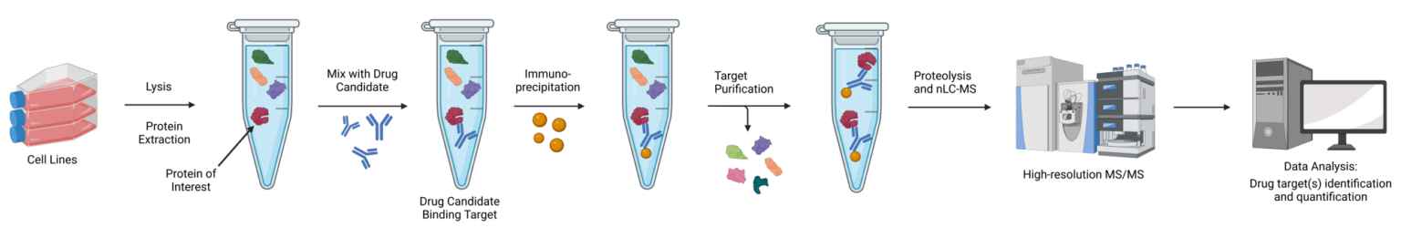 Immunoprecipitation Mass Spectrometry (IP-MS) - CovalX